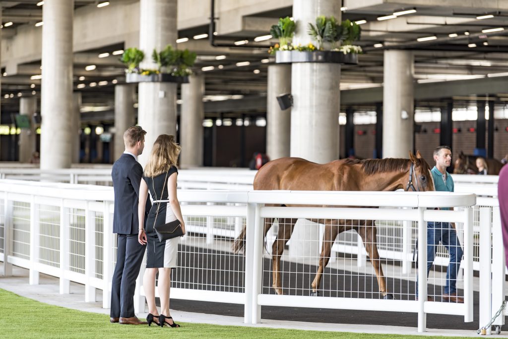 Watch the horses at Royal Randwick - Australian Turf Club